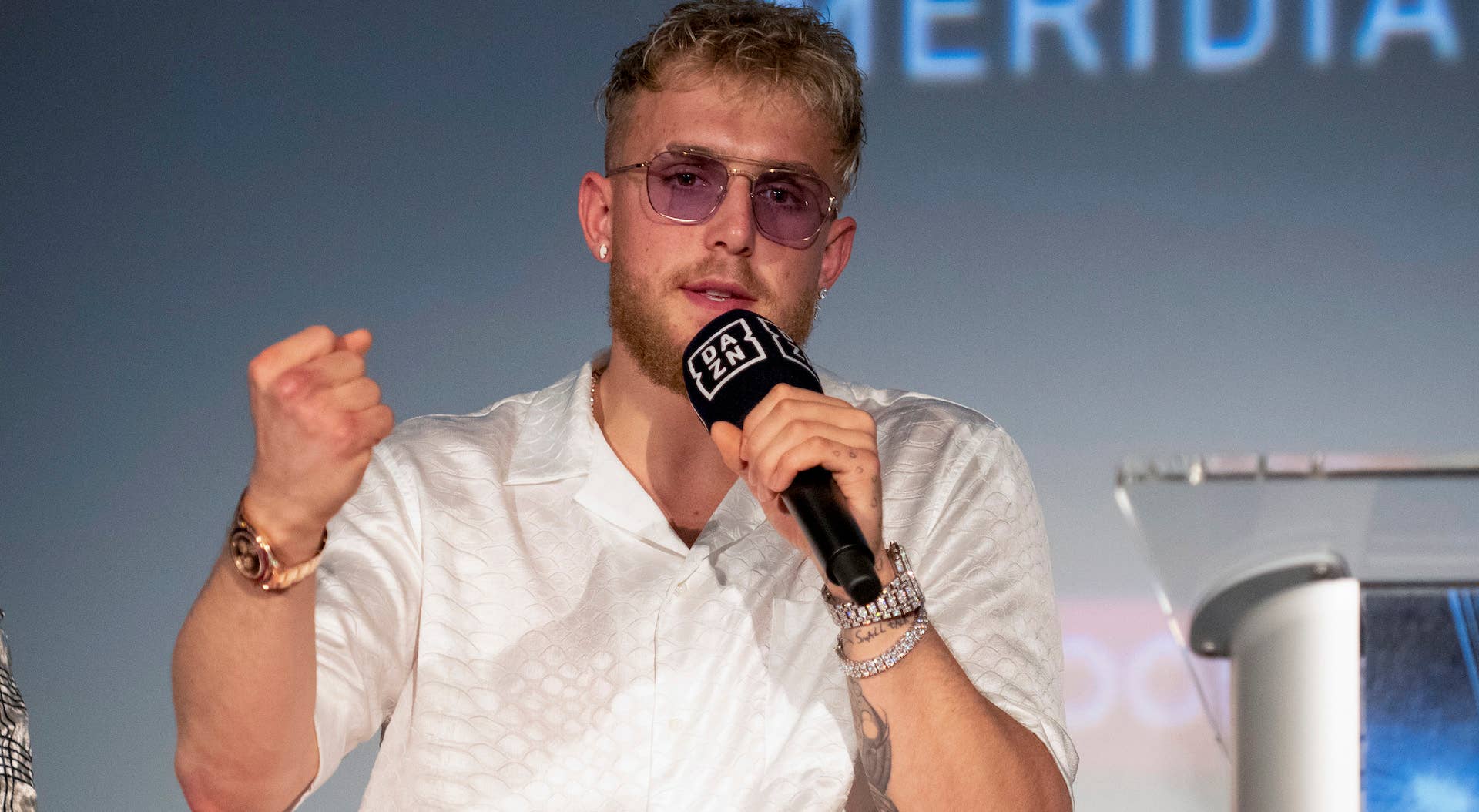 Jake Paul Under Investigation in Puerto Rico for Disturbing Turtle ...