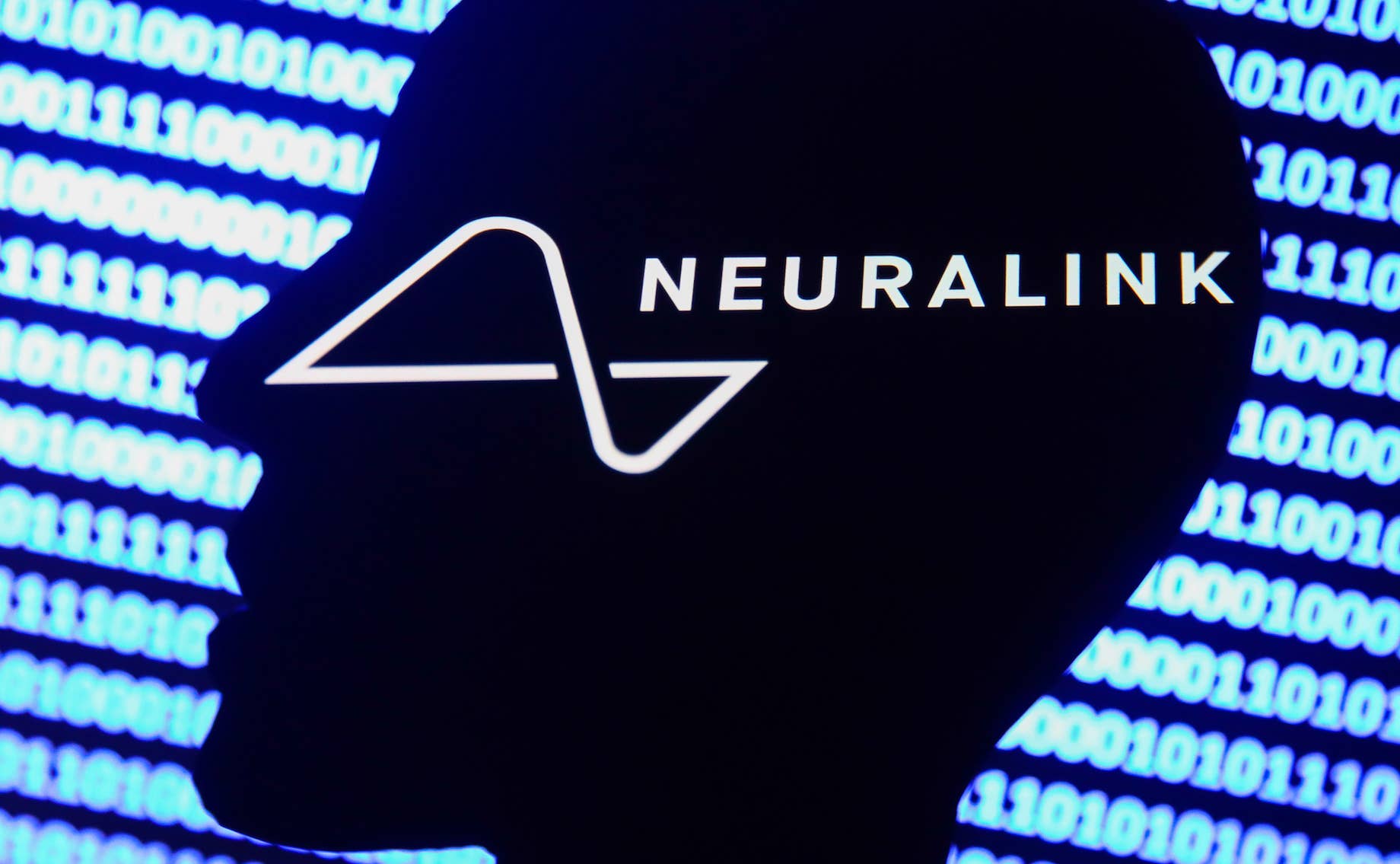 Elon Musk’s Neuralink Brain Chip Company Accused of Animal Abuse ...