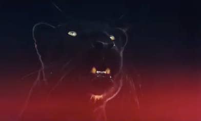 Watch the Trailer for The Weeknd's Upcoming Film 'Mania' | Complex