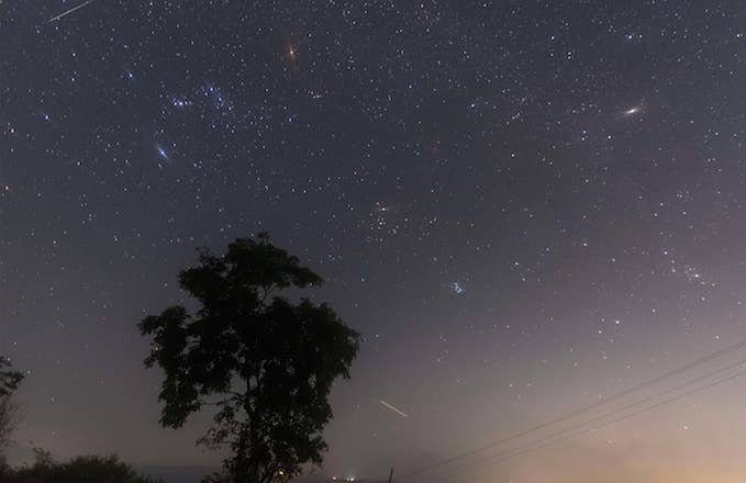 Skull-Shaped Asteroid, Known as 'Death Comet,' Will Fly Near Earth ...