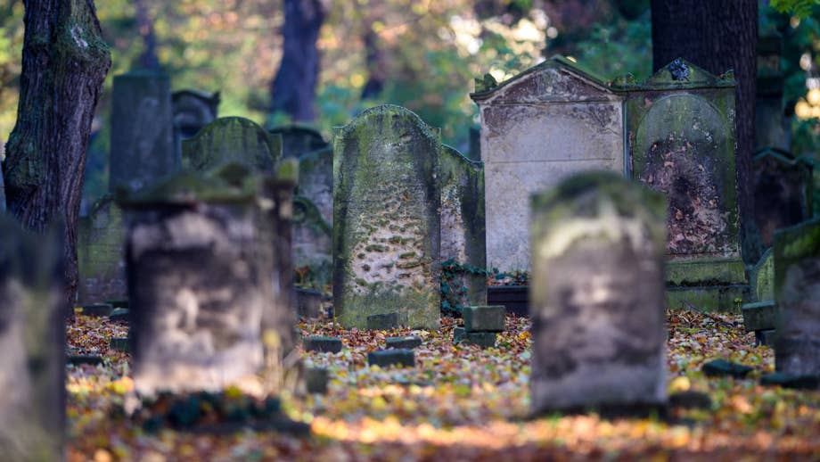 Louisiana Cemetery Removes 'Whites-Only' Restriction After Refusing To ...