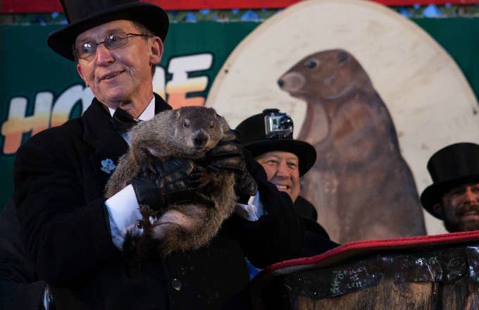 Esteemed Groundhog Named Phil Predicts Early Spring After Not Seeing ...