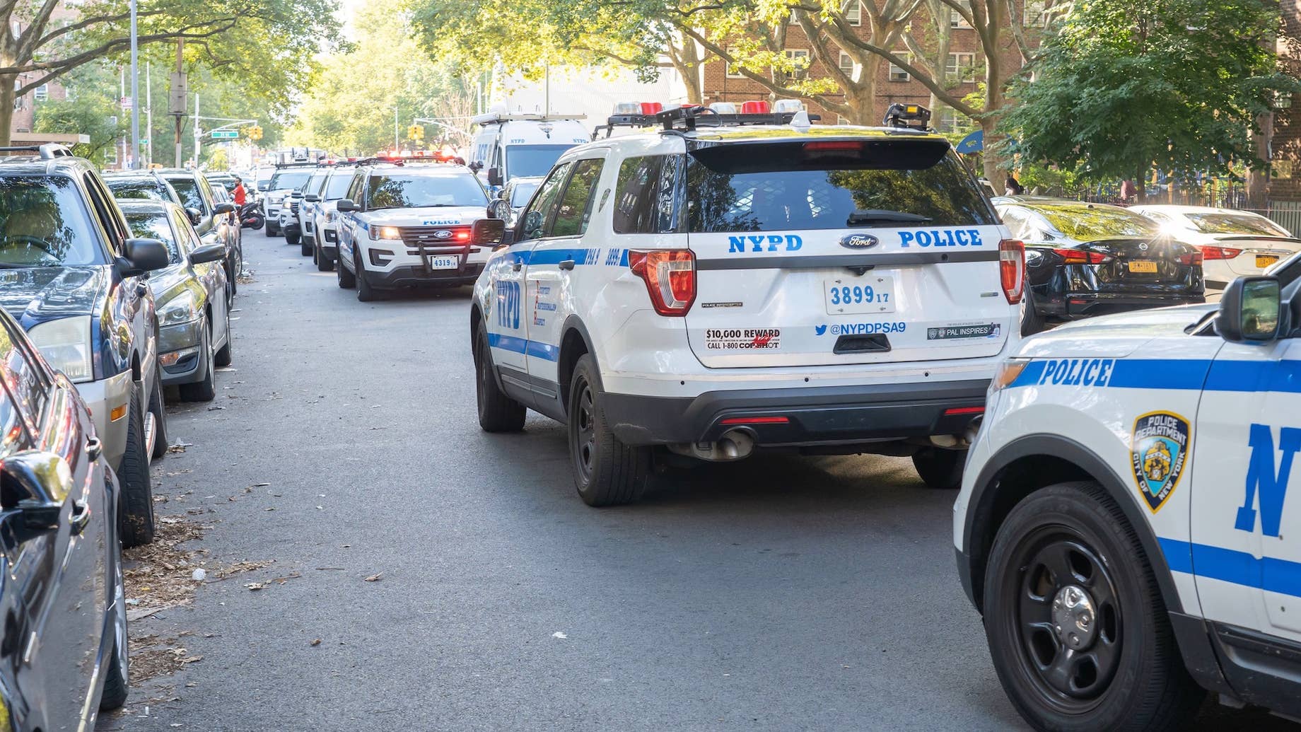 Authorities Search for Three Girls Who Went Missing From Bronx Group ...