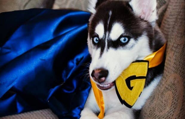 Bleacher Report Presents: The 20 Most Adorable Unofficial Mascots in ...