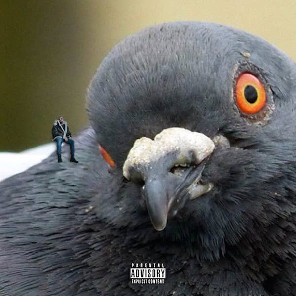 Make Your Own 'Views' Cover Featuring Tiny Drake With This Generator ...