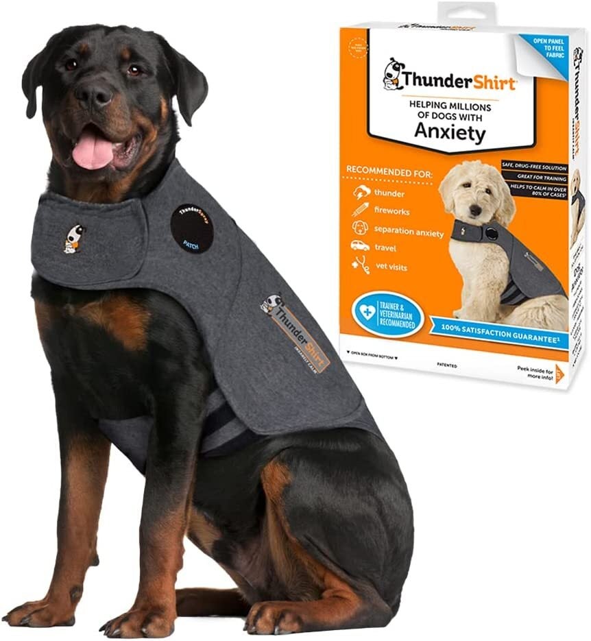 Vets Say These Products Might Help Your Anxious Dog
