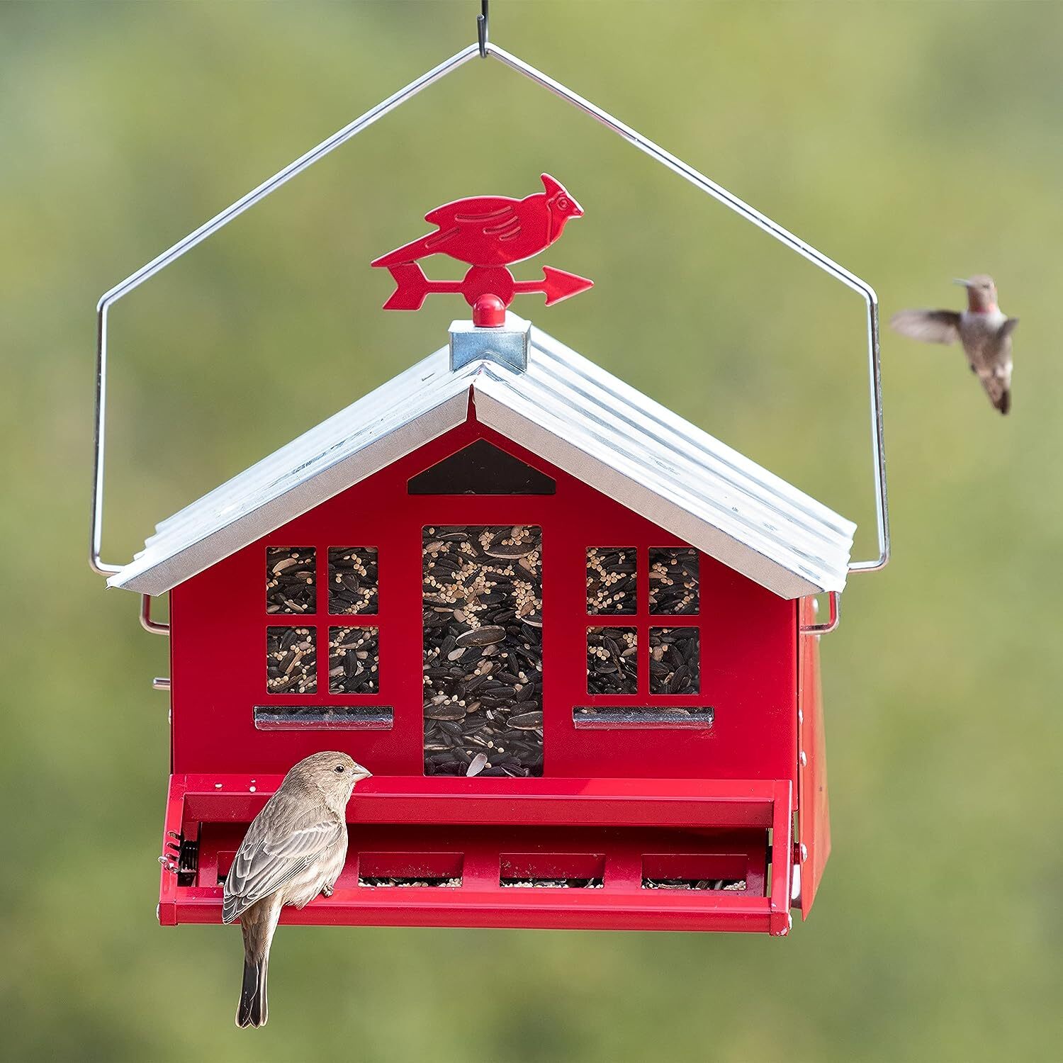 9 Products To Make Your Home More Bird-Friendly