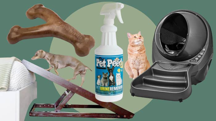 Pet Owners Reveal The Most Problem-Solving Thing They've Ever Purchased