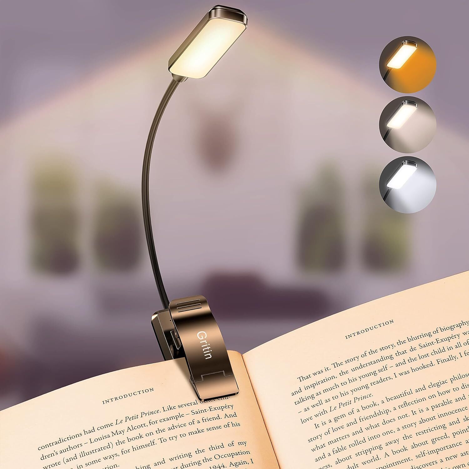 These Are The Best Portable Reading Lights