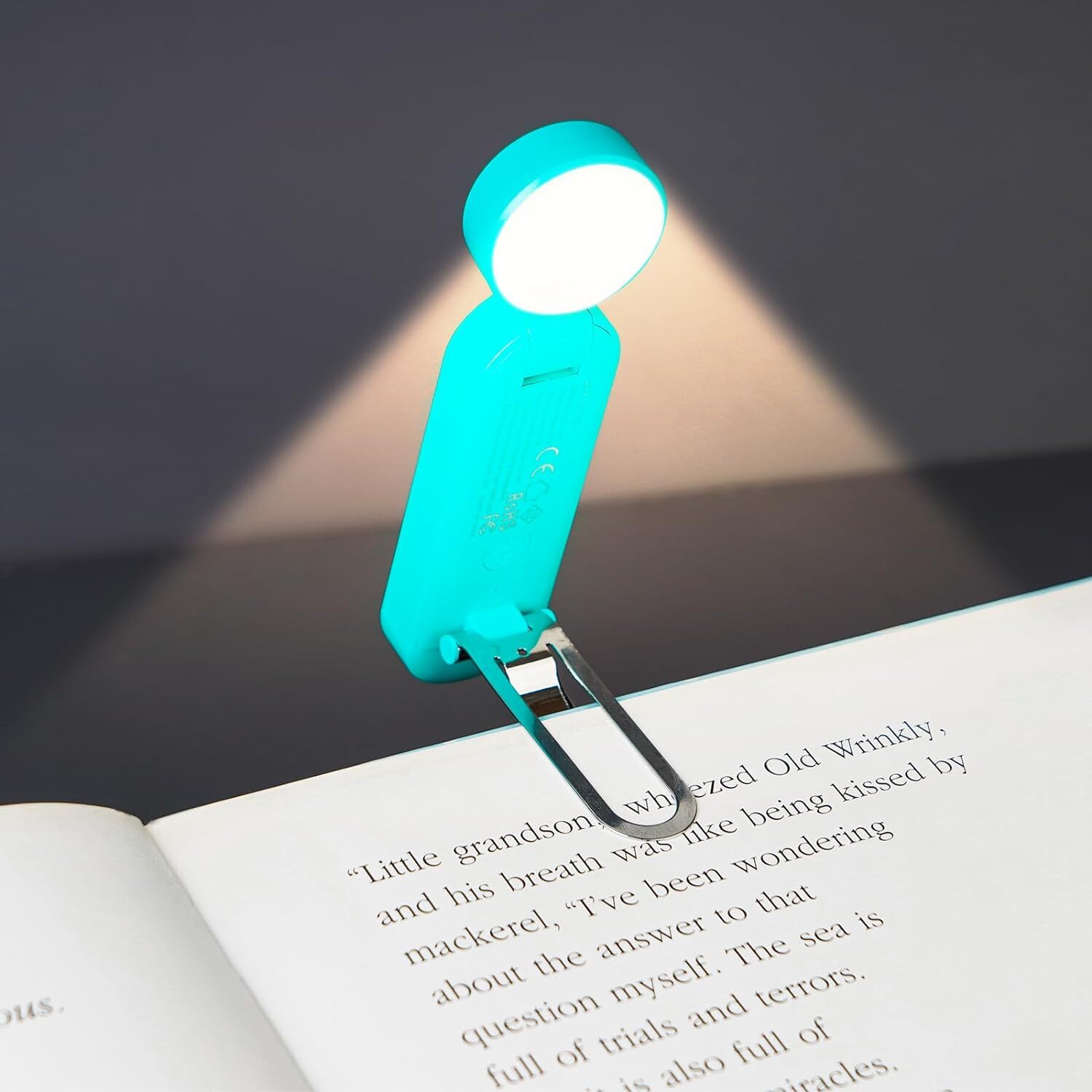 These Are The Best Portable Reading Lights