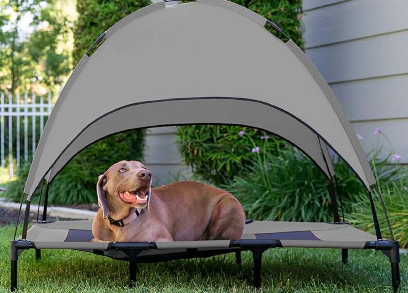 13 Cooling Pet Products That Have Great Reviews