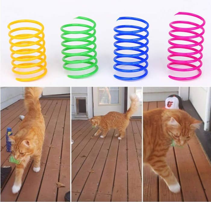 7 Pet Toys For Animal Lovers With Limited Mobility