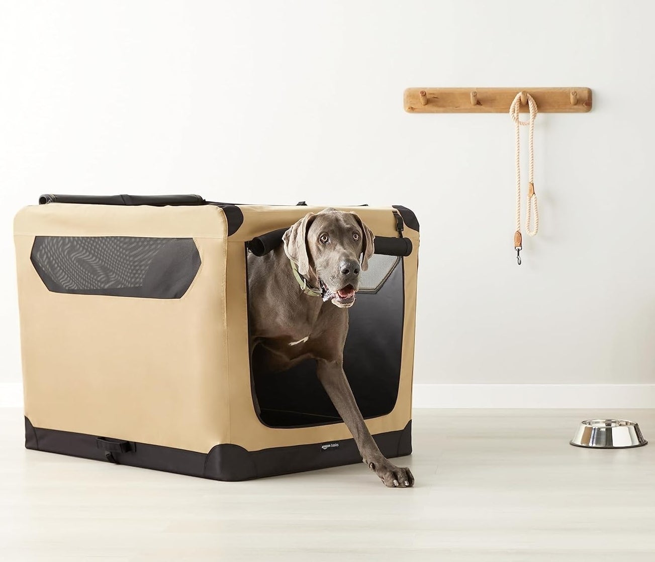 The Best Actually-Comfortable Pet Carriers For Travel