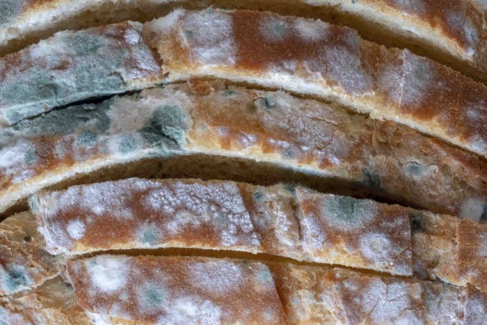 How To Tell If Moldy Bread Is Safe To Eat