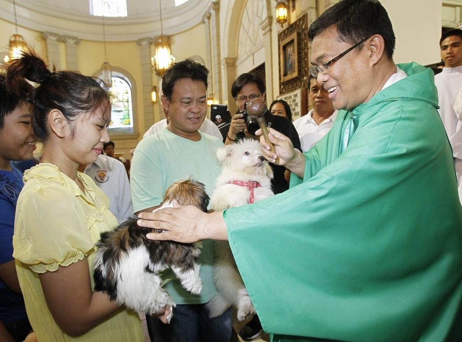 25 Photos Of Adorable Animals Being Blessed Around The World