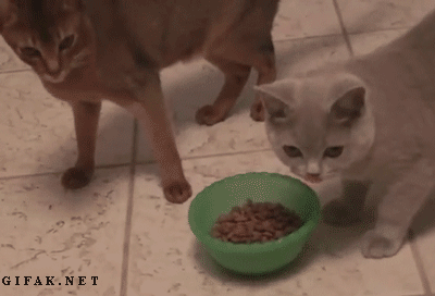 15 Backwards GIFs That Transform The Story