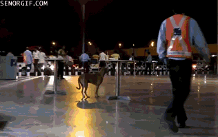 15 Backwards GIFs That Transform The Story
