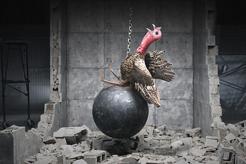 10 Turkeys That Are Winning At This Whole Thanksgiving Thing