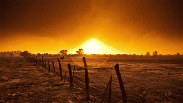 17 Scenic GIFs That Prove The South Is The Most Beautiful Place On Earth