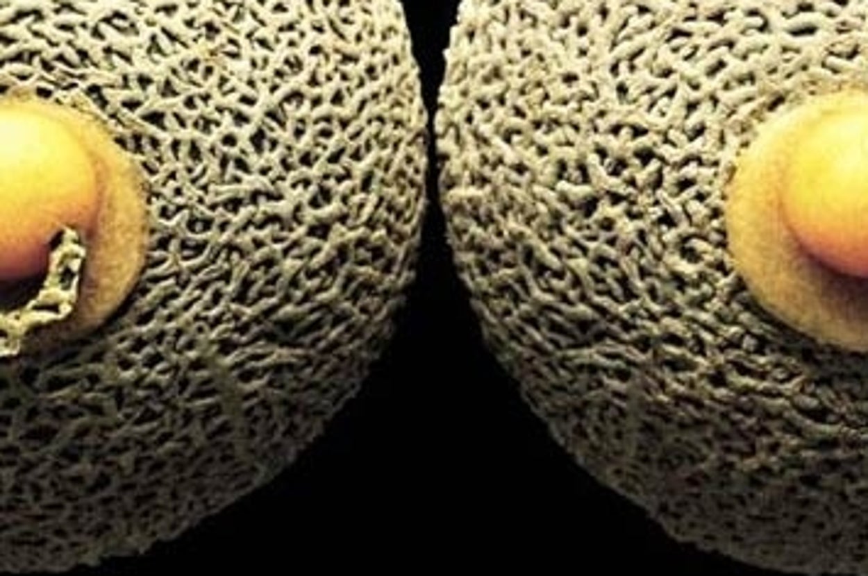 The Most Risqué Food Ads You Will See Today