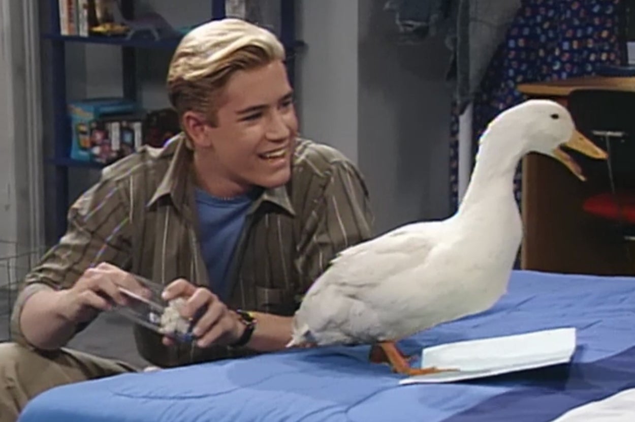 18 Glorious Times Zack Morris Had A Duck