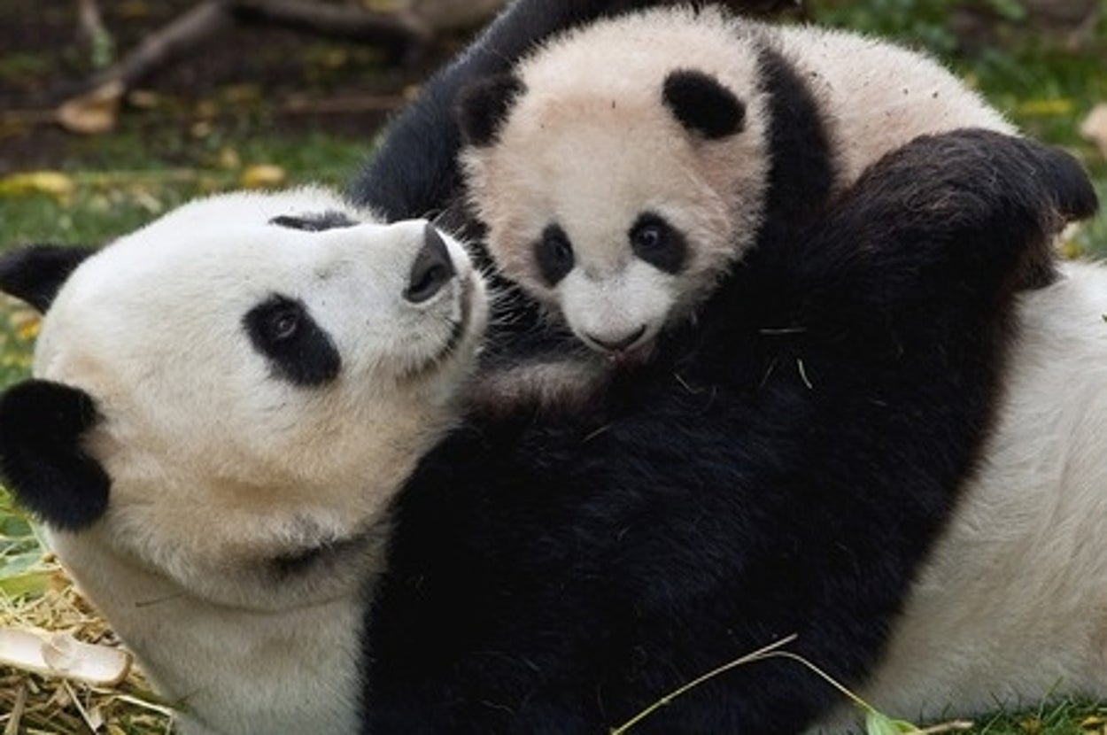 13 Types Of Cuddles You Need To Get In On Right Now