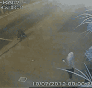 12 Fail GIFs That Will Make You Get Off The Phone