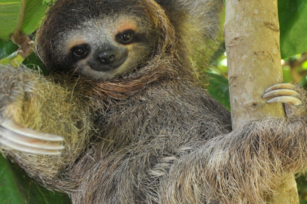 25 Life Shortcuts You Can Learn From Lazy People