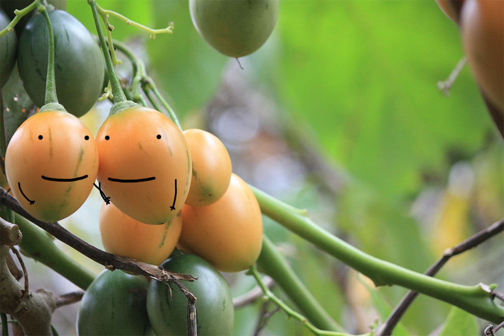 18 Happy Little Foods That Believe In You