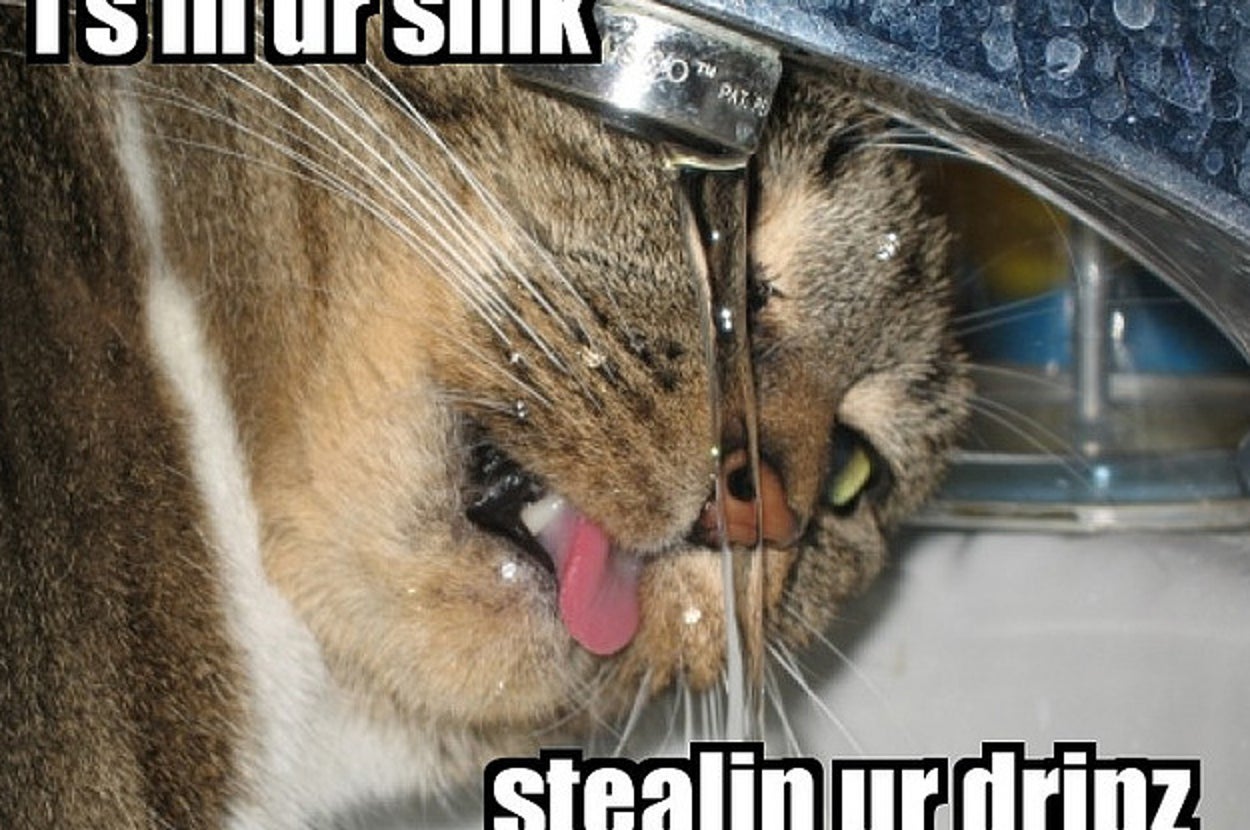 12 Original Memes That Belong In The Meme Hall Of Fame