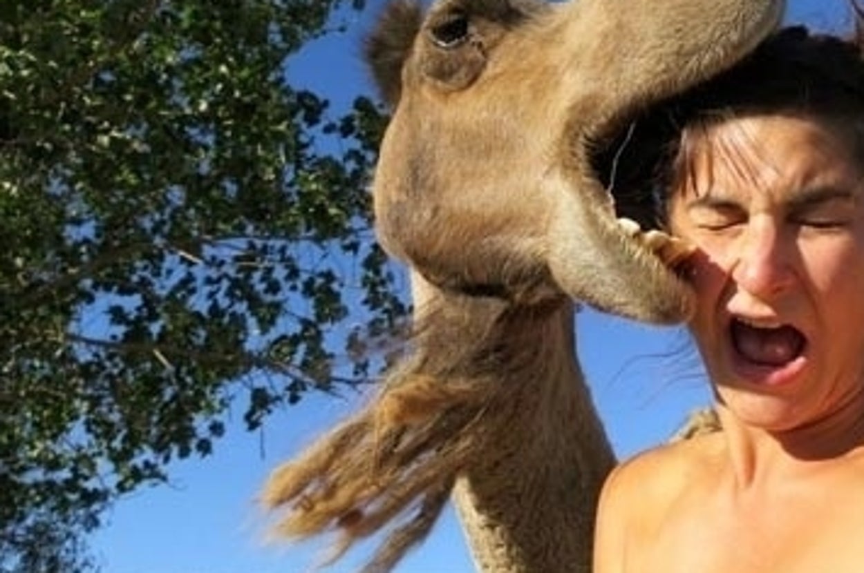 The 30 Greatest Animal Photobombs Of 2013