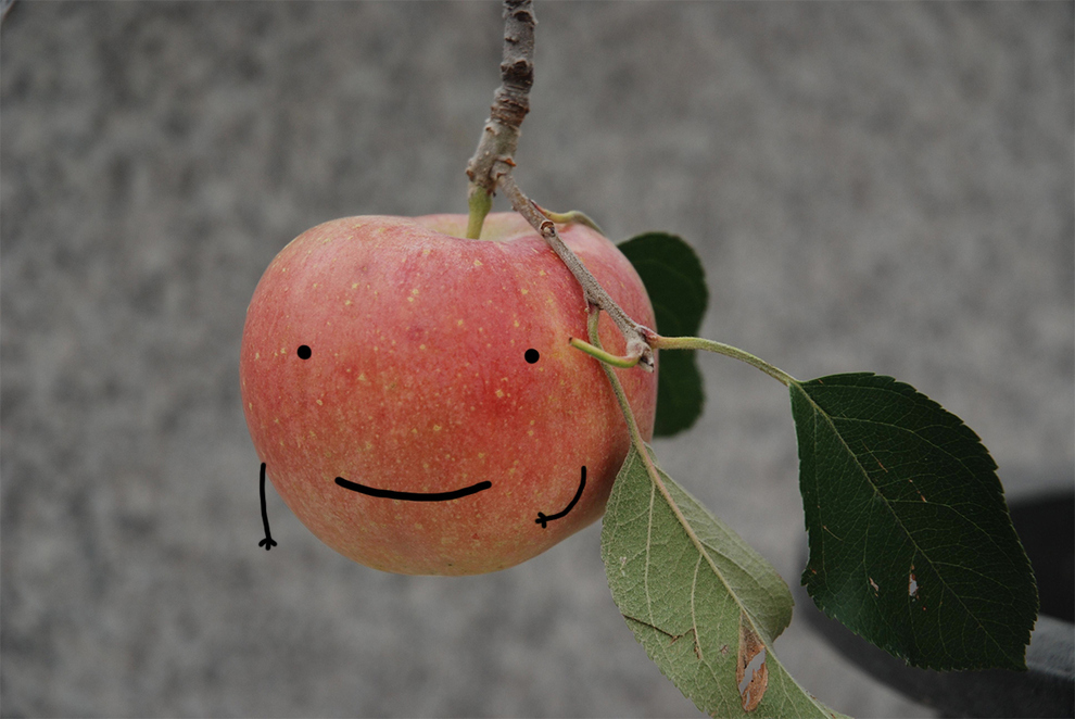 18 Happy Little Foods That Believe In You