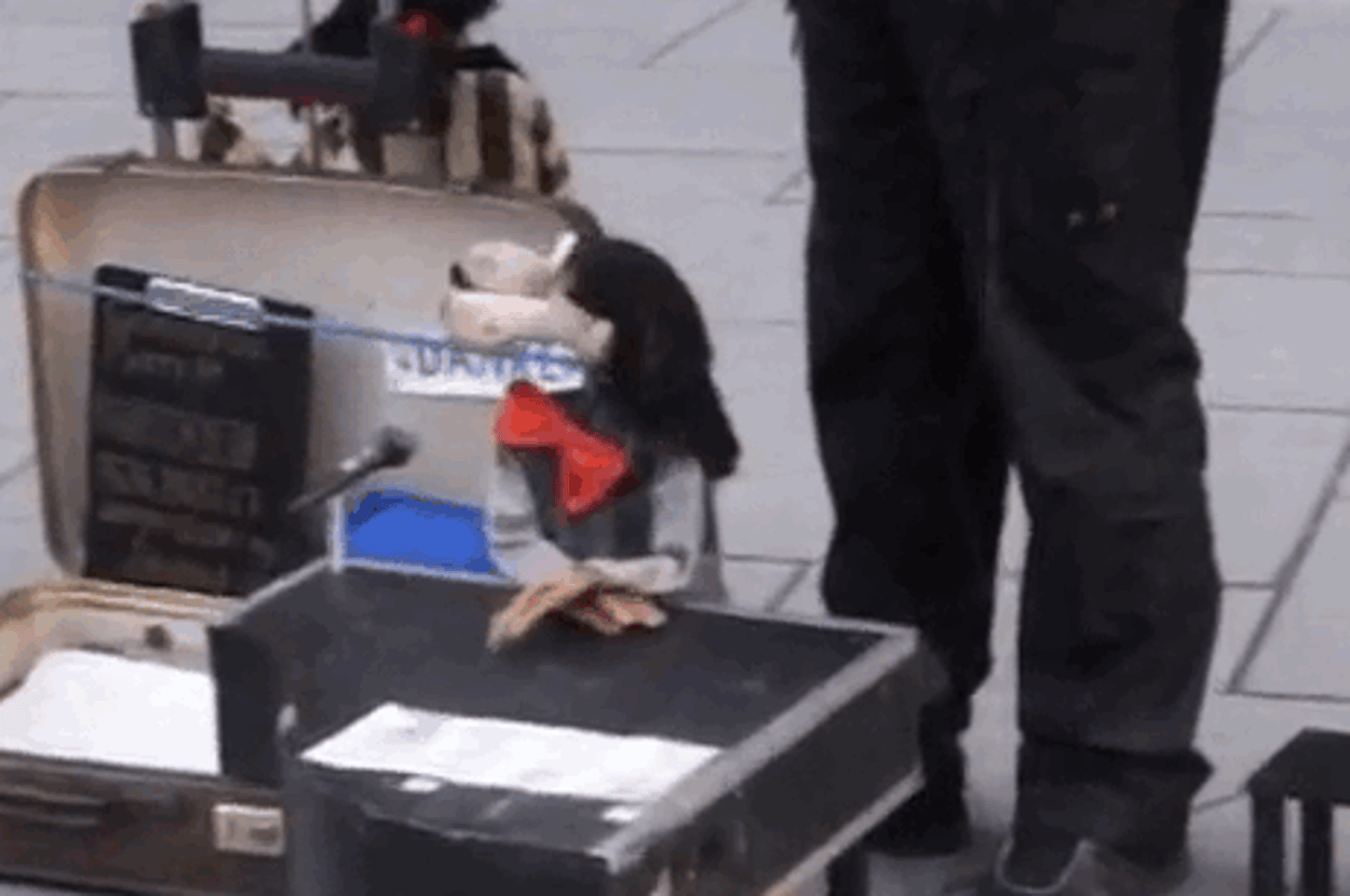 13 Jobs Your Inner Kid Wishes You Had