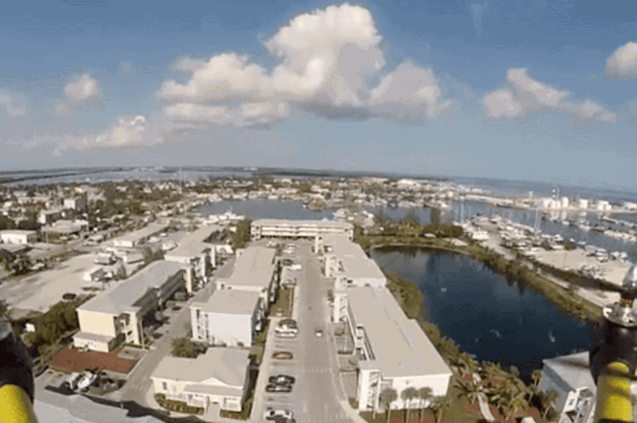 Watch A Swarm Of Bees Attack A Hovering Drone