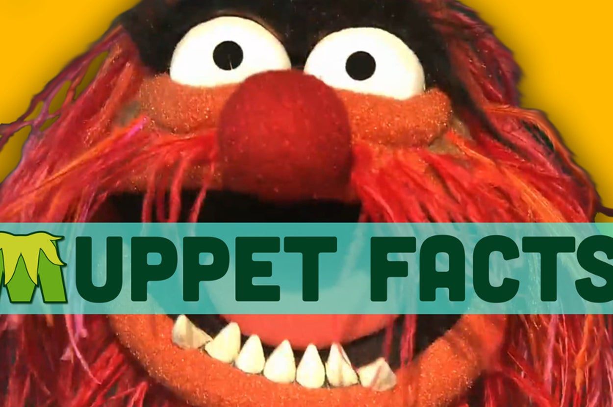 Muppet Facts You Need To Know