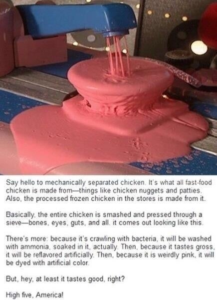 Chocolate Custard Meme