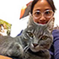 Carol Tan (caroltan) on BuzzFeed