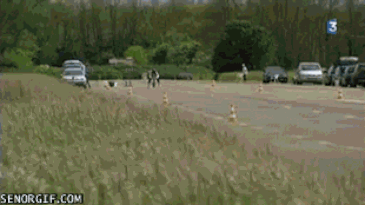 The 14 Fastest GIFs On The Internet