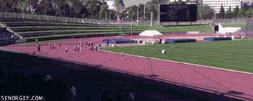 The 14 Fastest GIFs On The Internet