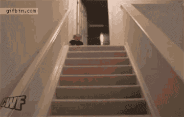 The 14 Fastest GIFs On The Internet