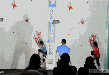The 14 Fastest GIFs On The Internet