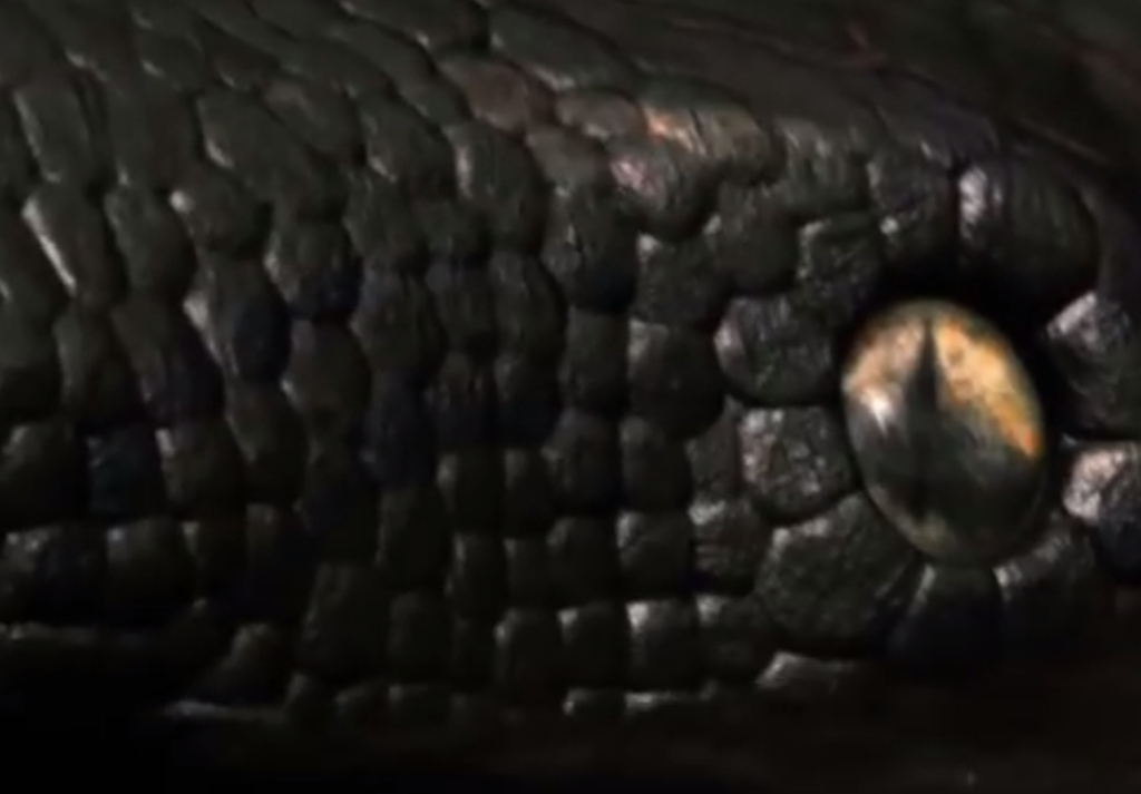 13 Terrifying Monsters That Will Make You Happy You Live In 2014