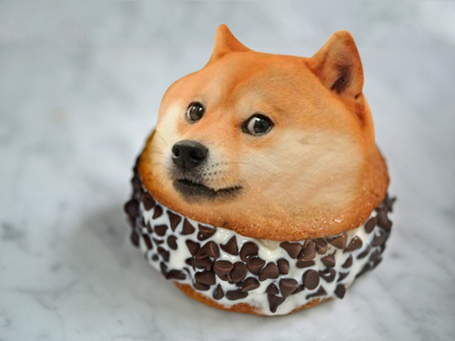 10 Desserts Doge Goes Great On.