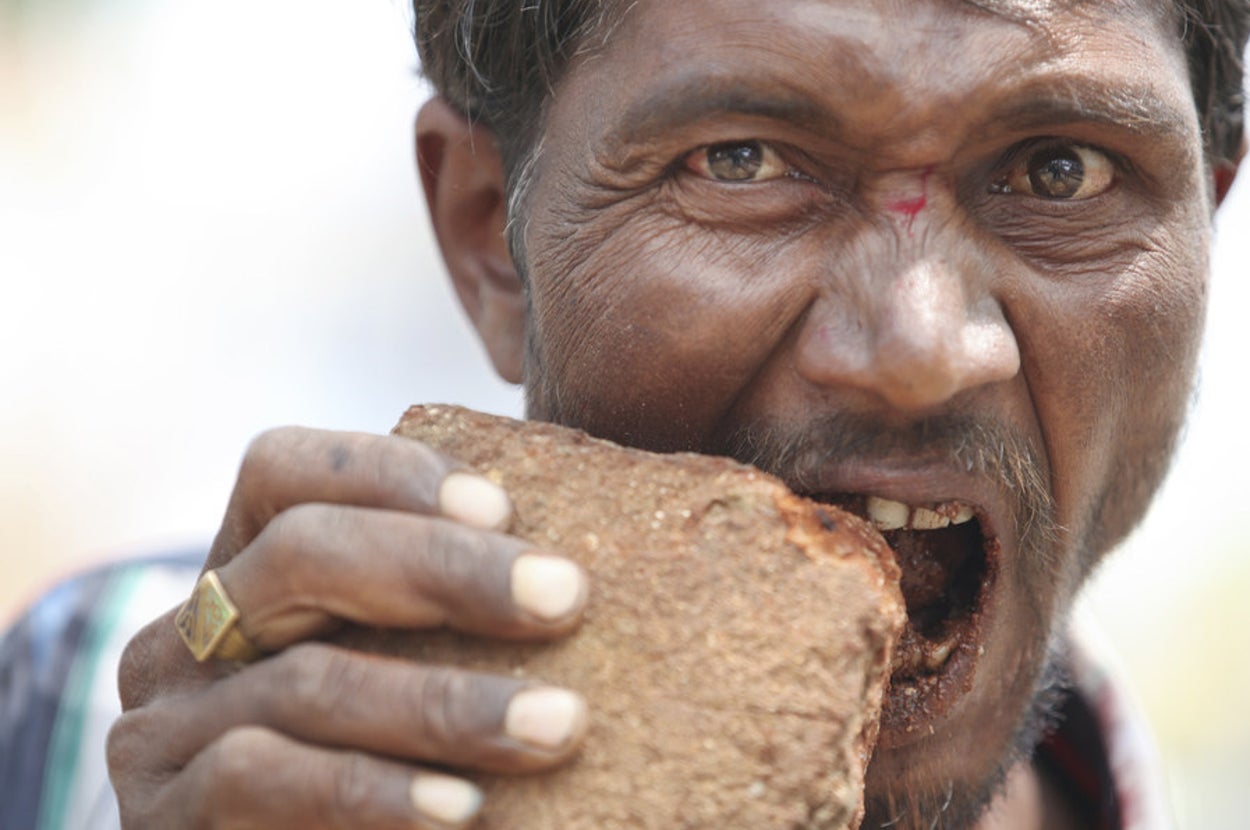 This Man Eats Bricks