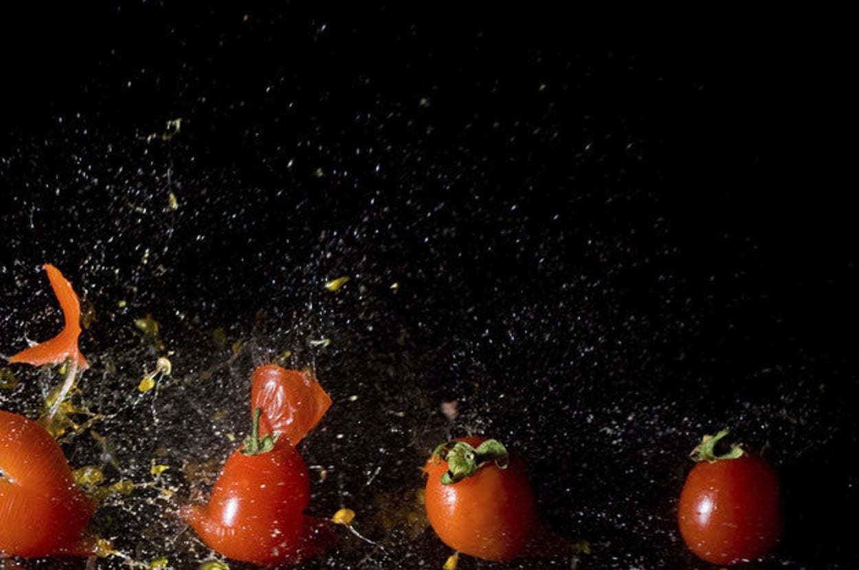 22 GIFs Of Things Made Brilliant By Slow Motion