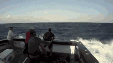 12 Reasons Why Fishing Is The Best Hobby