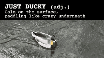 10 Urban Dictionary Definitions You Need To Know