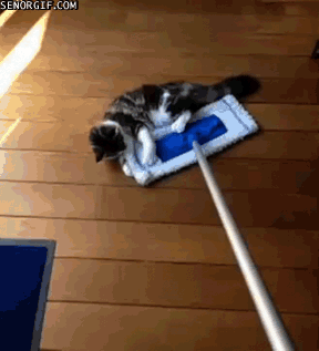 16 Funny Cleaning Gifs