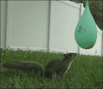 The 19 Most Shockingly Refreshing GIFs Of All Time