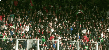 12 Ways Soccer Fans Steal The Show